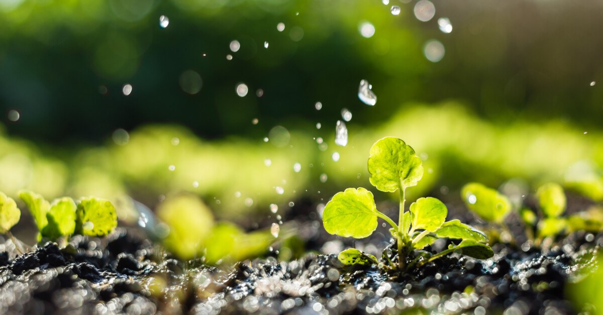 Landkreis Lüneburg - Alles auf Anfang: Als neuer MOIN-Geschäftsführer ...