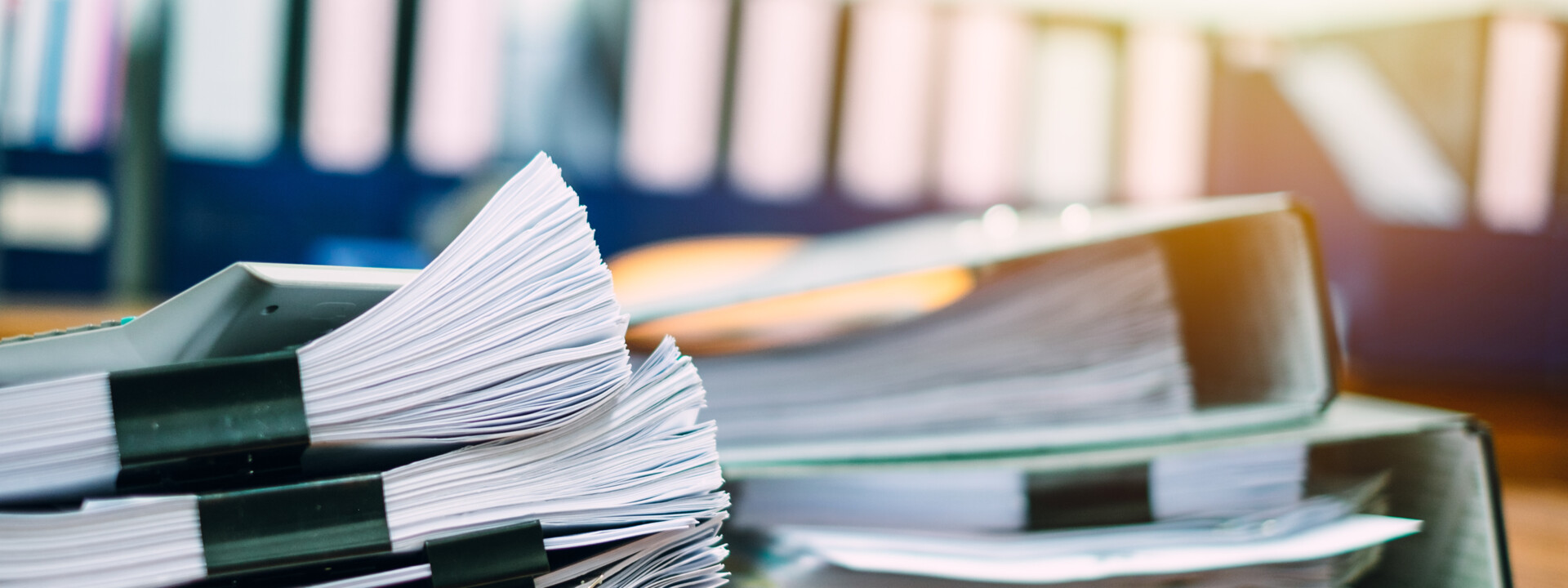 Landkreis Lüneburg - Über den Landkreis